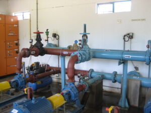 Home - Wellfield Group